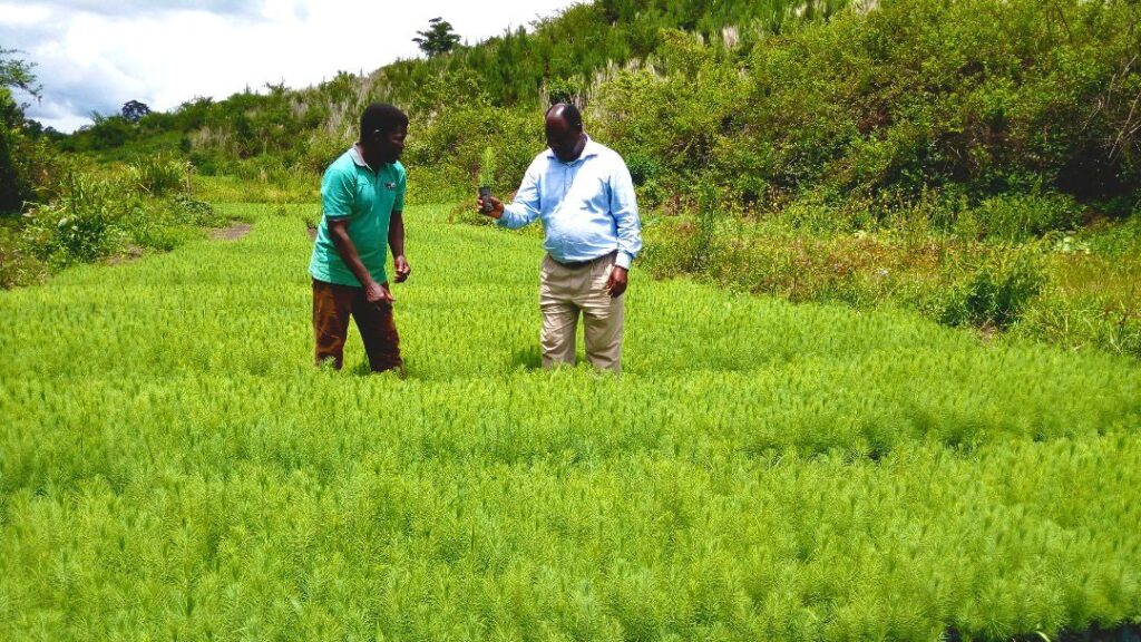 Sustainability – RAIPLY MALAWI LIMITED